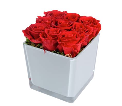 Red Cube Royal Roses