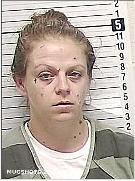 Owens Ashley Nicole 07102025 Bay County Mugshots Zone