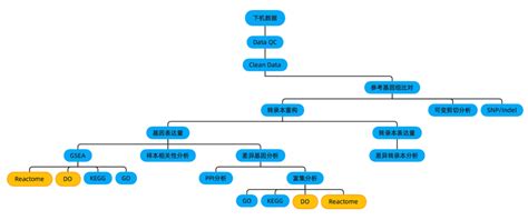 科技服务 联川生物