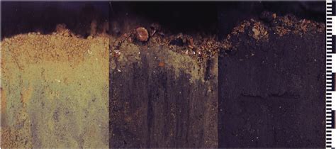 Example Sediment Profile Images Showing The Range Of Sediment Colors In