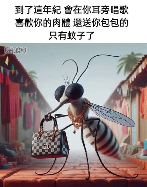 轉發 雀食 梗圖板 Dcard