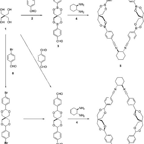 Scheme 1 Synthesis Of Macrocycles 5 And 9 Download Scientific Diagram