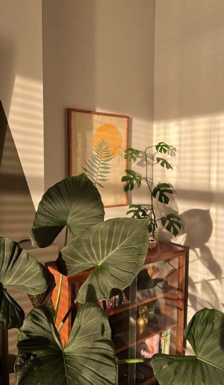 عکس های بک گراند بهترین تصاویر بک گراند [پیشنهادی] تاوعکس