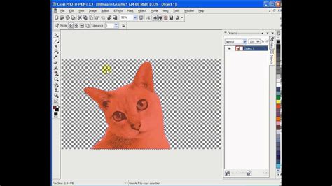 How To Remove White Background Coreldraw At Brooke Bermingham Blog