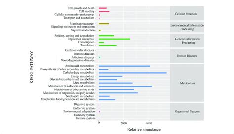 Picrust Analysis Result Download Scientific Diagram