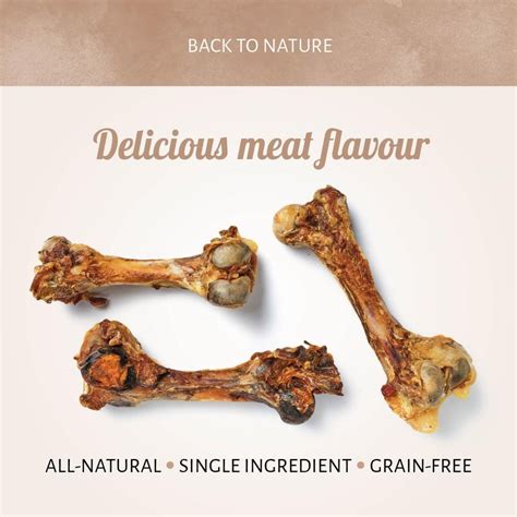 Hueso De Cerdo Antos