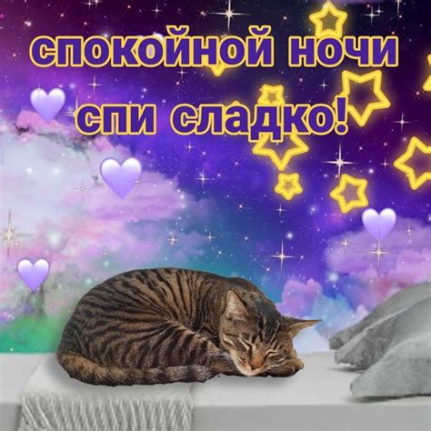 Спокойной ночи Спокойной ночи Ночь Мемы