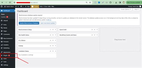 How To Install Conversios Plugin On Wordpress