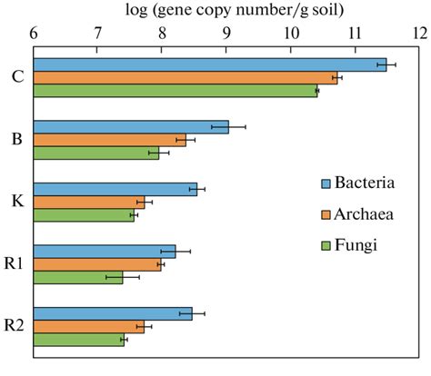 Numbers Of The Archaeal Bacterial And Fungal Genes Copies In The Download Scientific Diagram