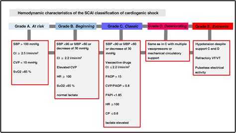 Hemodynamic Monitoring And Echocardiographic Evaluation In Cardiogenic
