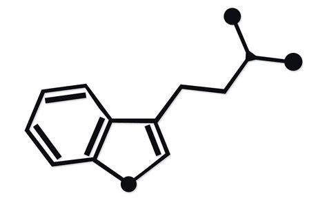 Dimethyltryptamine Structure Dmt Drug Addiction What To Know