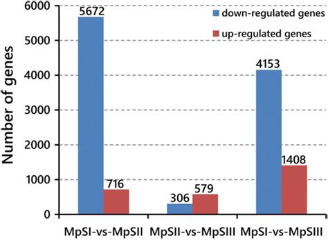 Temporal Transcriptome Profiling Of Developing Seeds Reveals A Concerted Gene Regulation In