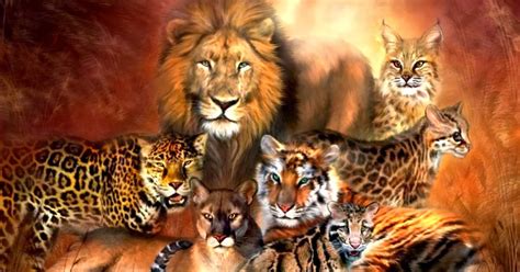 The 7 Big Cat Species Radio Bejad