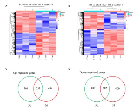 Figure Analysis Of Transcripts In Rice Shoots In The Control Ck And