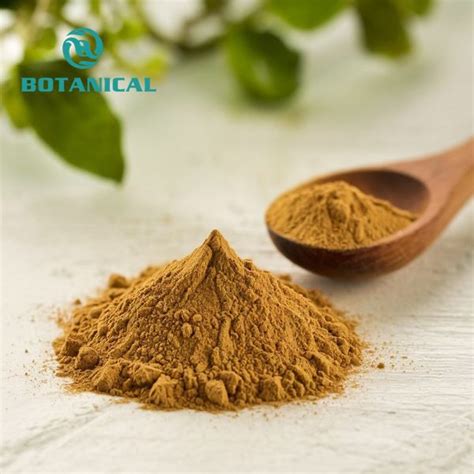 China Holy Basil Leaf Extract Suppliers Manufacturers Factory