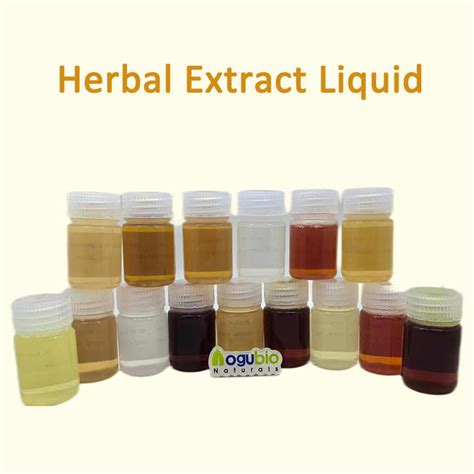 Factory Price Arborvitae Extract Natural Herbal Extract Thuja Orientalis Extract Liquid