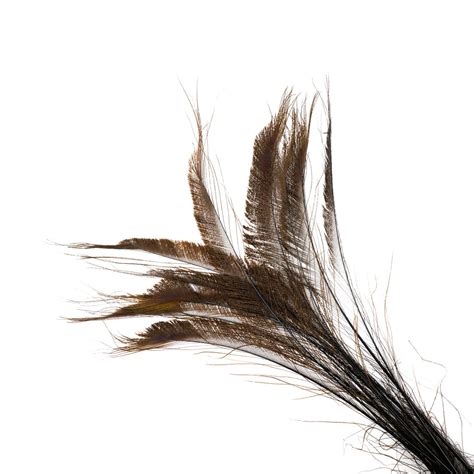 100 Pieces Bleach Dyed Peacock Sword Feathers 15 25 Brown Floral