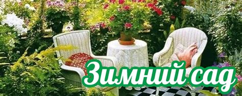 Зимний сад г Котельнич Для вашего сада и огорода предлагаем семена овощей цветов сезонную