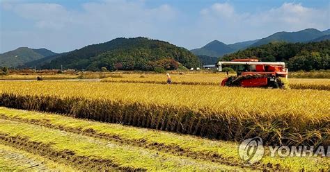 구미·문경·예천에 첨단·공동영농 등 혁신 농업타운 만든다