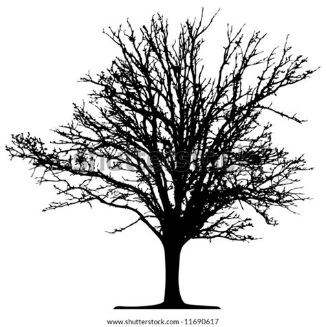 Tree Vector Stock Vector Royalty Free Shutterstock