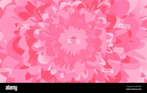 Abstract Pink Flower Explosion Background Stock Vector Image And Art Alamy