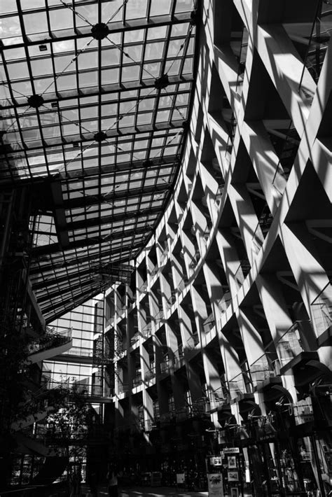 Curved Grid Photography By CyberShutterbug