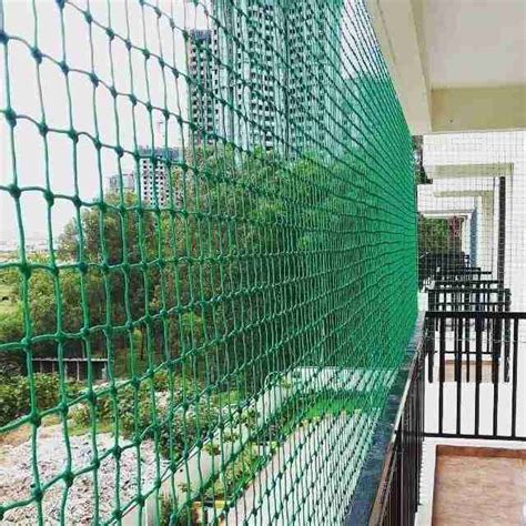 Ultimate Guide To Bird Netting