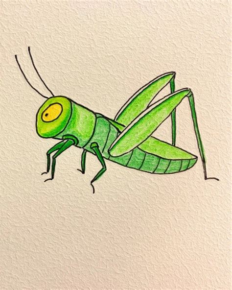 How To Draw A Grasshopper In 7 Easy To Follow Steps Dooduko Easy