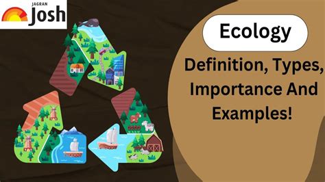 What Is Ecology Types Importance And Examples Of Ecology