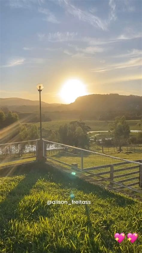 Alisson Freitas Alison Freitass • Instagram Photos And Videos