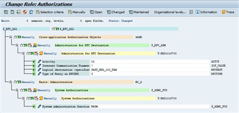 Role Adjustments For Technical Sap Users How To Handle Sap Authorizations Safely And