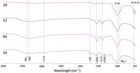 Formulation And Characterization Of Chitosan Based Mixed Matrix Scaffold For Tissue Engineering