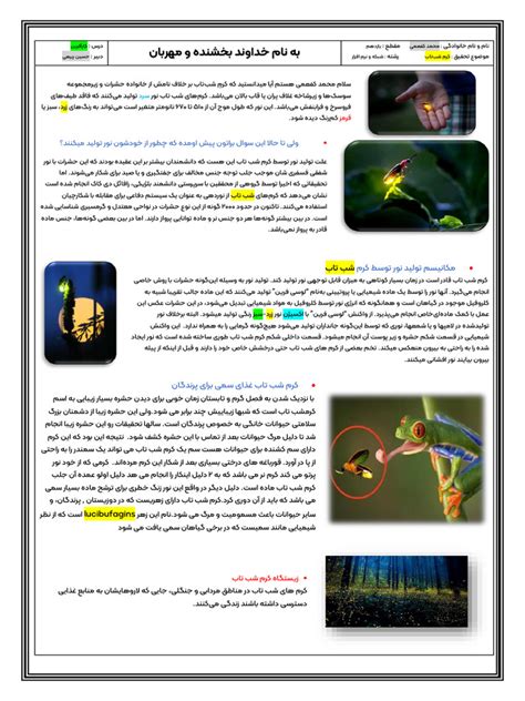 کرم شب‌تاب Pdf
