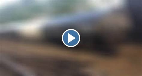 New Uncensored Danielle Hemsley Video Danielle Hemsley Celebration Video Manipur Violence Video