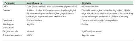 16 Plaque Induced Gingival Diseases Plaque Induced Gingivitis