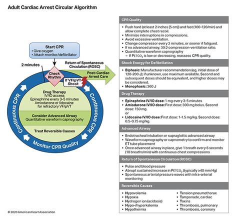Part 3 Adult Basic And Advanced Life Support American Heart