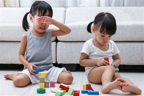 C Mo Gestionar Peleas Entre Hermanos Nuestra Tribu