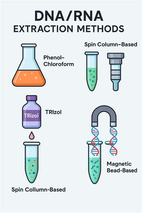 How To Extract Dna And Rna For Molecular Biology Jack Jie Huang Md Phd Posted On The Topic