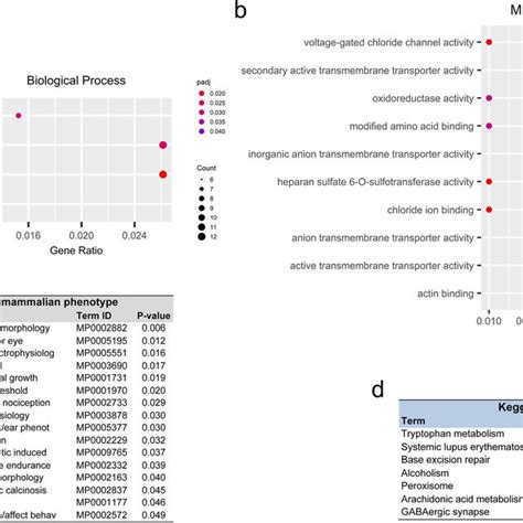Pearsons Correlation Between Rna Seq And Rt Qpcr Data The Analysis Download Scientific