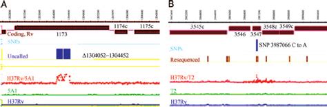 Signalmap Nimblegen Representation Of Cgs Analysis Of H37rv 5a1 A