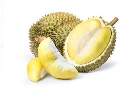 두리안 사진 Unsplash에서 무료 이미지 다운로드