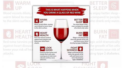 Does Red Wine Actually Have Health Benefits