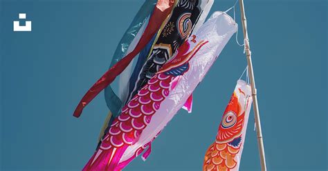 물고기와 함께 하늘을 나는 연 사진 Unsplash의 무료 일본 이미지