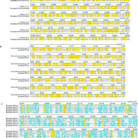 A Sequence Alignment Between Wuhan Sars Cov 2 And Candidatus