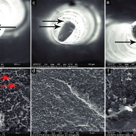 Scanning Electron Micrographs Of The Fractured Surfaces Obtained From