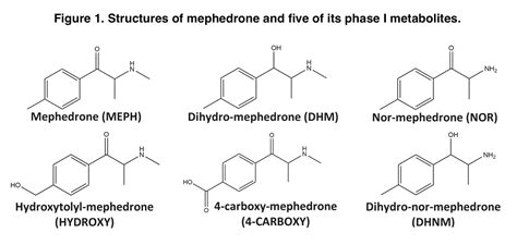 Urinary Excretion Of Mephedrone
