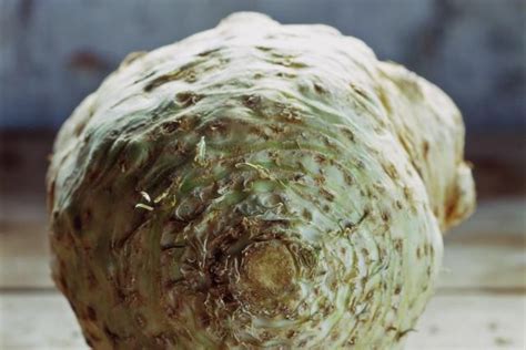 Celery Root Nutrition Facts And Health Benefits Pasta Nutrition