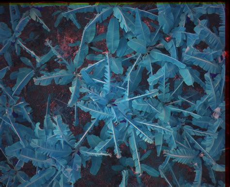 Prueba Totales Object Detection Dataset By Tesis