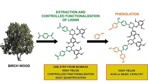 Extraction And Functionalization Of Lignin For Improved Phenolation Epfl