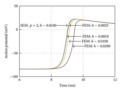 Space Refinement Convergence Experiments For Monodomain Action Download Scientific Diagram